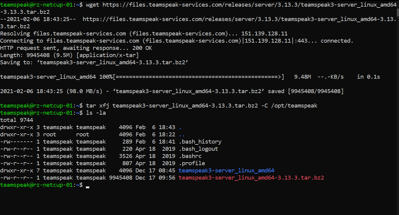 How to set up a TeamSpeak 3 server on Debian / Ubuntu